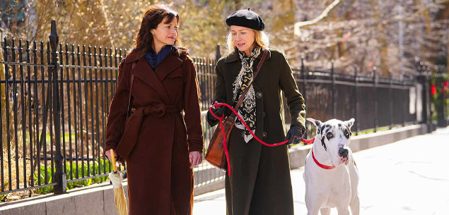 FlixChatter Review: The Friend (2025) – Naomi Watts + the Great Dane ...